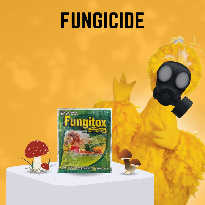 FUNGITOX 70WP THIOPHANATE METHYL FUNGICIDE 100G | Lazada PH