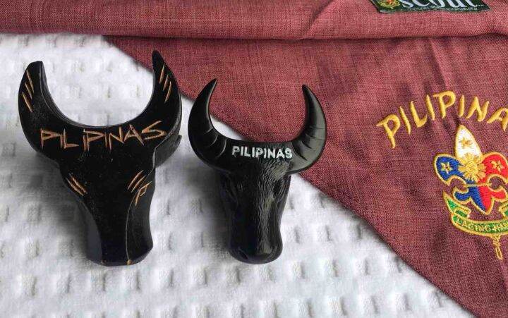 Official Adult Scarf Neckerchief Scout / Carabao Slide for Leader ...