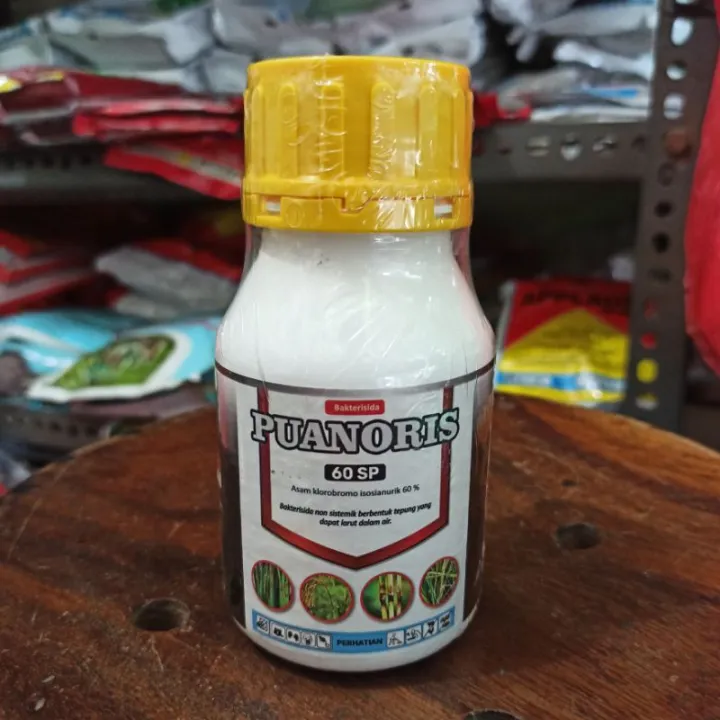 BAKTERISIDA PUANORIS 60 SP 100 GR PENGENDALI PENYAKIT HAWAR DAUN BAKTERI | Lazada Indonesia