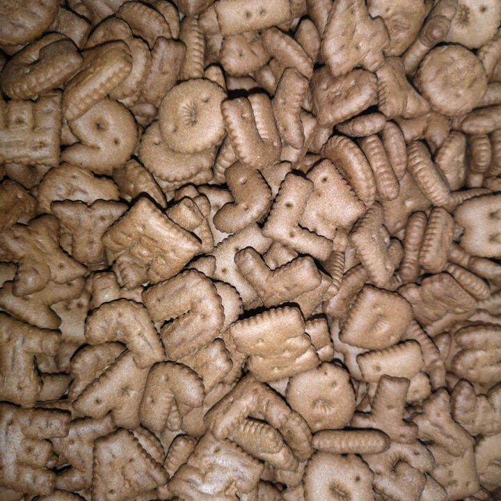 Alphabet ABC Chocolate Biscuits (500g) | Lazada