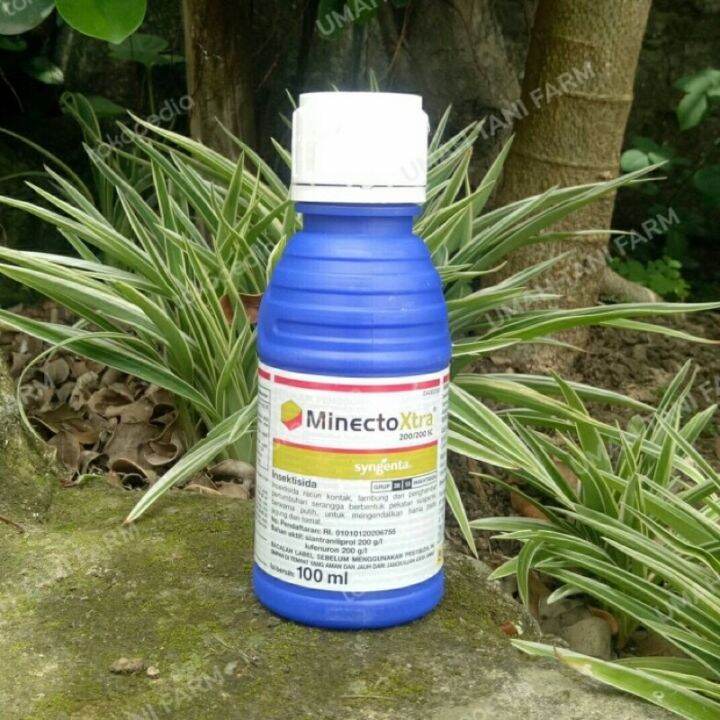 Insektisida MINECTO XTRA isi 100 ml | Lazada Indonesia