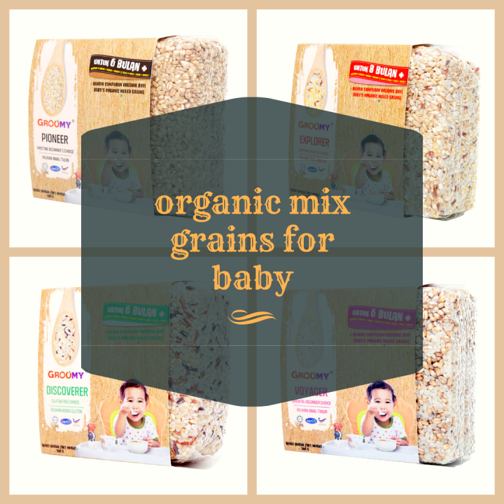 BABYFOOD BABY ORGANIC MIX GRAINS BY GROOMY FOR 6 MONTH. BERAS CAMPUR ...