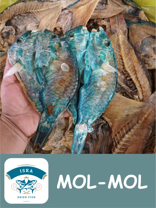 DRIED MOL-MOL (PARROT FISH) | Lazada PH