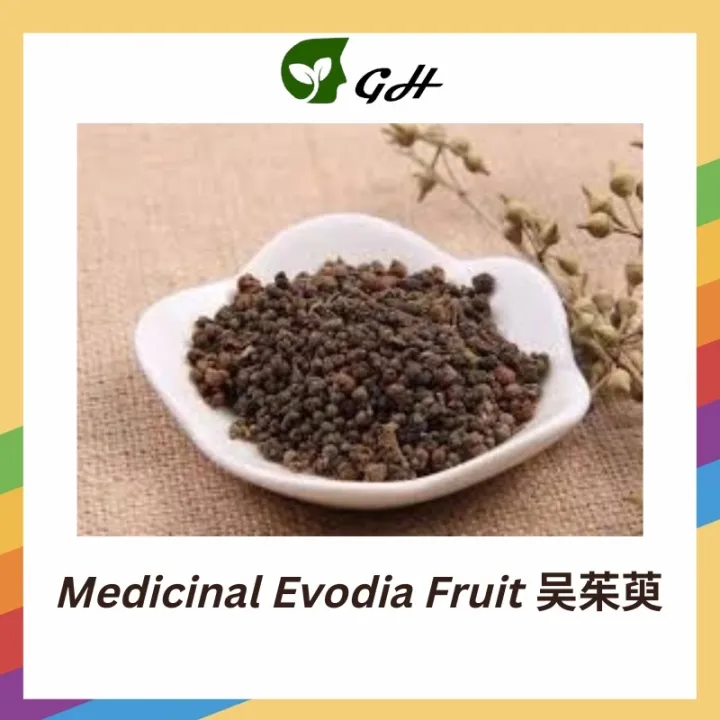 [GH Centre 贵和养生] Medicinal Evodia Fruit/ Fructus Evodiae/吴茱萸/左力子 [100g ...