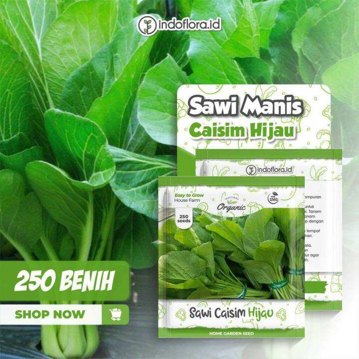 BENIH SAWI MANIS CAISIM HIJAU SHINTA F1 250 BENIH | Lazada Indonesia