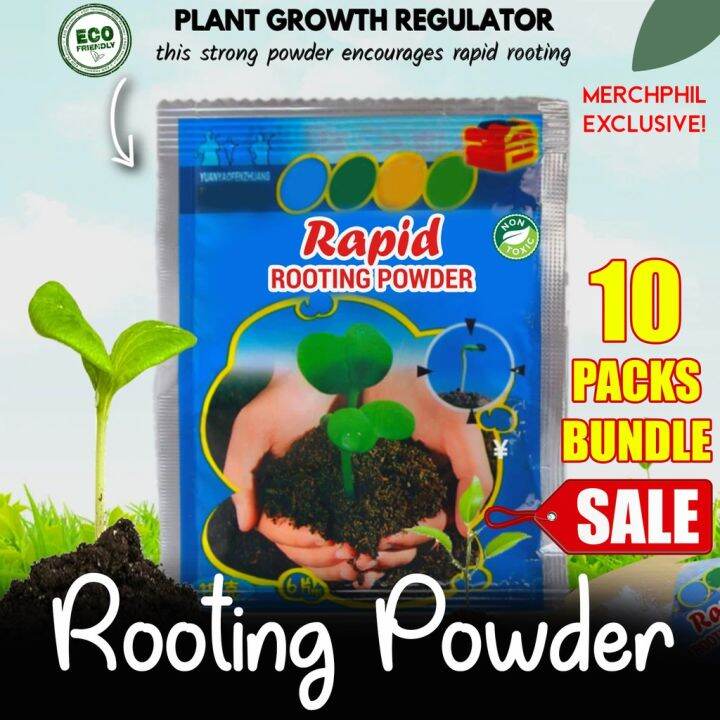 10PACKS Ships From Manila Onhand Rapid Rooting Powder Plant Growth ...
