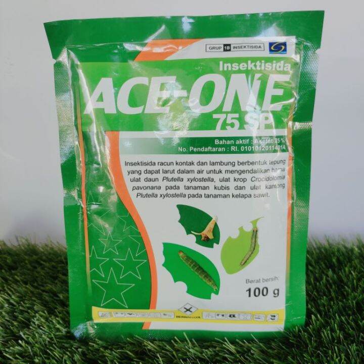 INSEKTISIDA ACE-ONE 75SP asefat 75% 100g | Lazada Indonesia