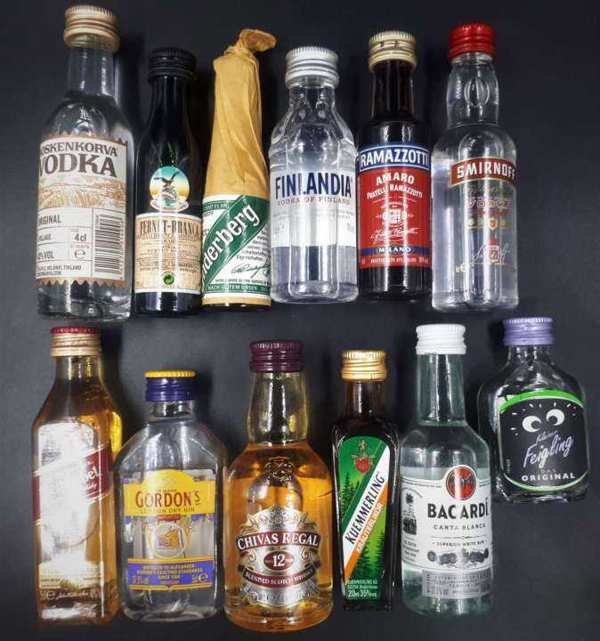 Mini Bottles for your Collection Wine,Liquors and Tonic | Lazada PH