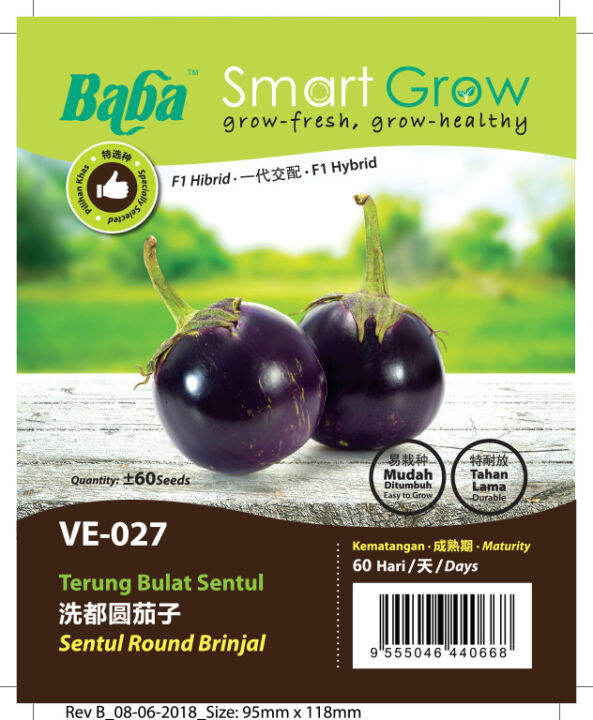 Baba Smart Grow Seed: VE-027 F1 Sentul Round Brinjal 洗都圆茄子 | Lazada