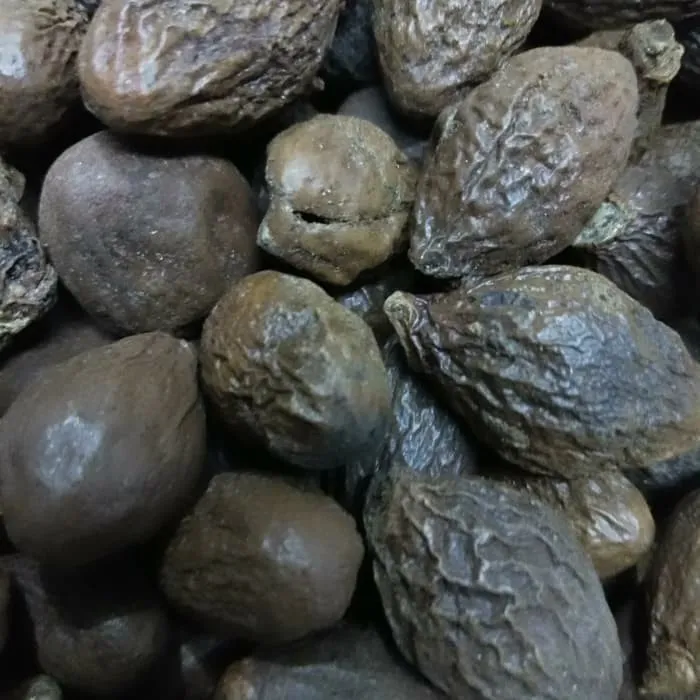 Buah Tempayang 250 g / Buah kembang semangkok / Beng ta hai Kering Asli ...