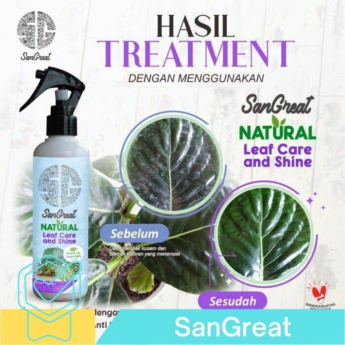Semir Kilap Daun Tanaman Hias Water Base Plus Vitamin dari SanGreat Original | Lazada Indonesia