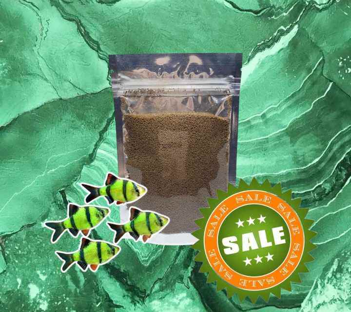 3pcs per order neon green TB For aquarium decoartions with Po1 Fish ...