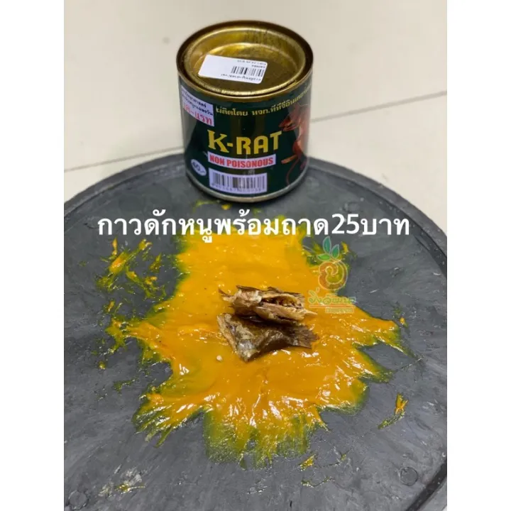 🌈โปรลดพิเศษ🌈 กาวดักหนูและแมลงวันพร้อมถาดK-RAT | Lazada.co.th