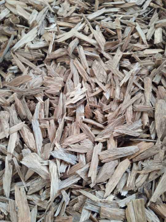 Kayu Gaharu Kayu Gaharu ASLI SUPER Skin Oud Agarwood - BUHUR Bukhur ...