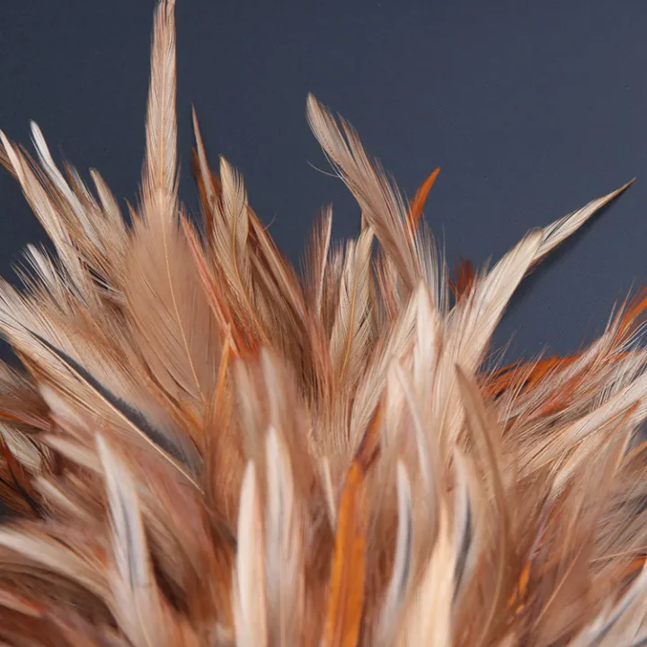 Chicken feather duster dust removal | Lazada