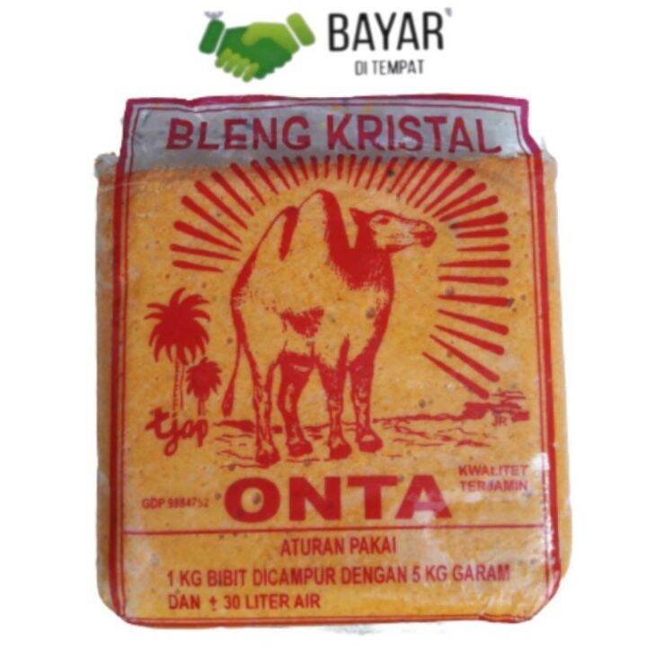 APJ - TERLARIS!!! Obat Kerupuk/ Garam Bleng/ Bahan Pengenyal dan ...