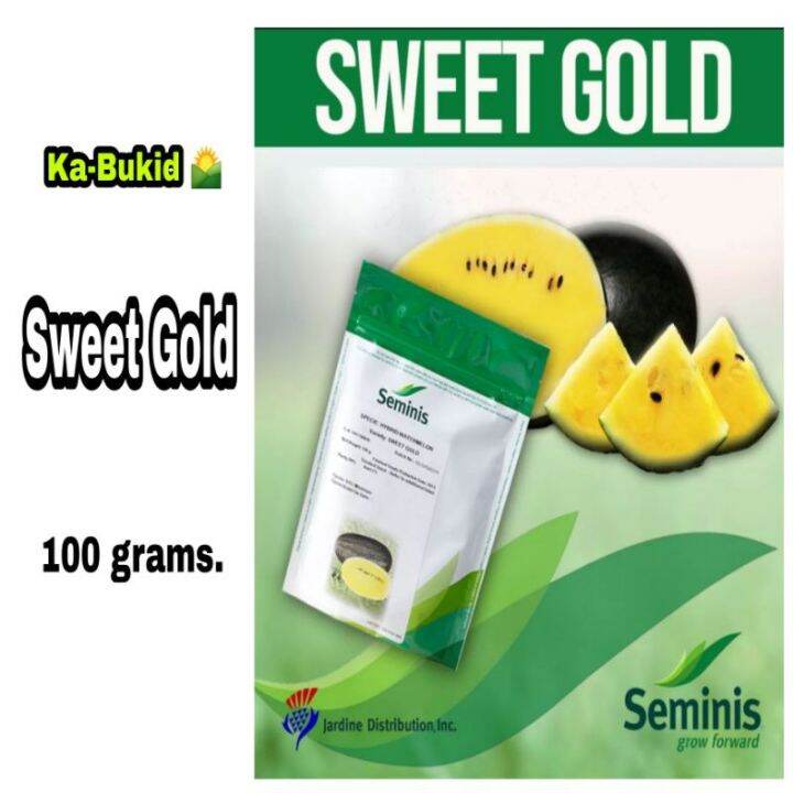 SWEET GOLD watermelon Seminis 100grams. | Lazada PH