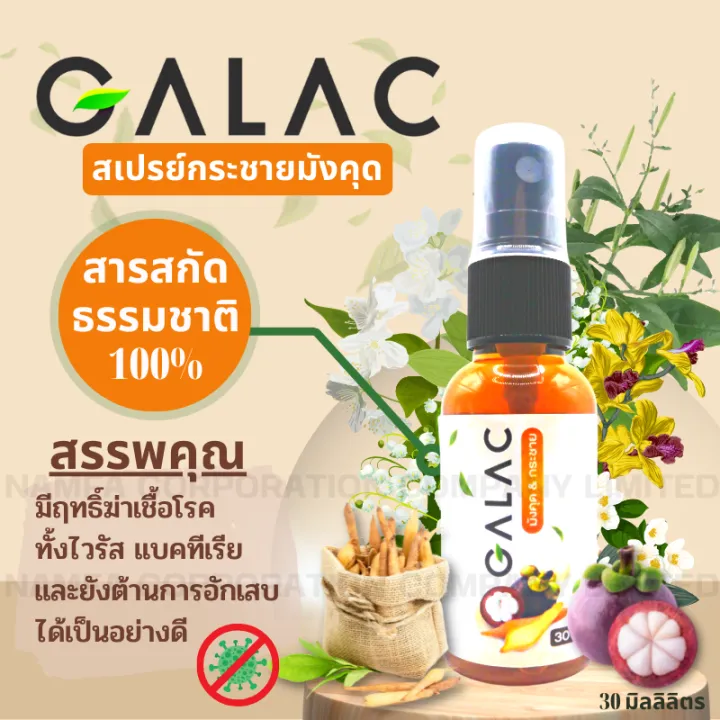 GALAC กระชายขาวสกัด เข้มข้นแบบสเปรย์ สเปรย์พ่นคอ สารสกัดกระชาย มังคุด | Lazada.co.th