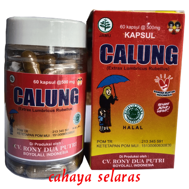KAPSUL CACING CALUNG ISI 60 KAPSUL | OBAT TIPES | Lazada Indonesia