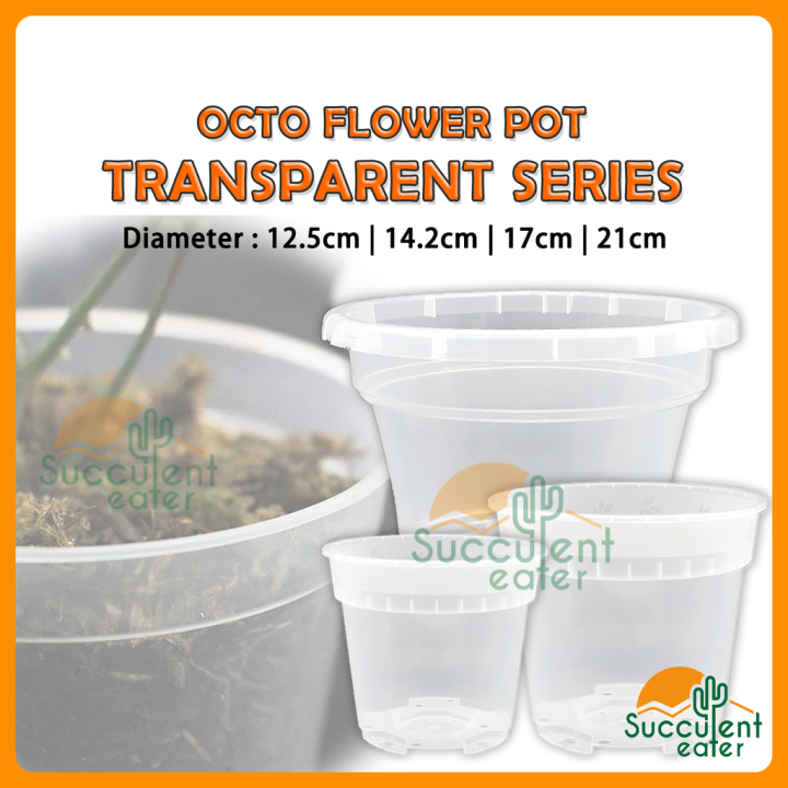 Octo Transparent Translucent Series Flower Pot Gardening Hydroponics ...