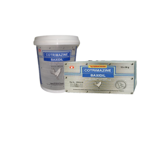 Baxidil-COTRIMAZINE | Lazada PH