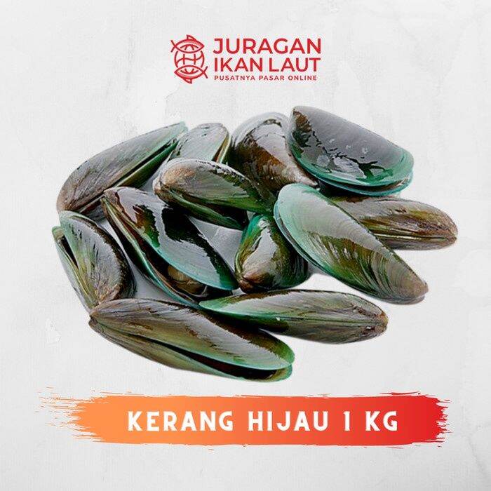 Kerang Hijau Segar - 1 Kilogram JABODETABEK | Lazada Indonesia