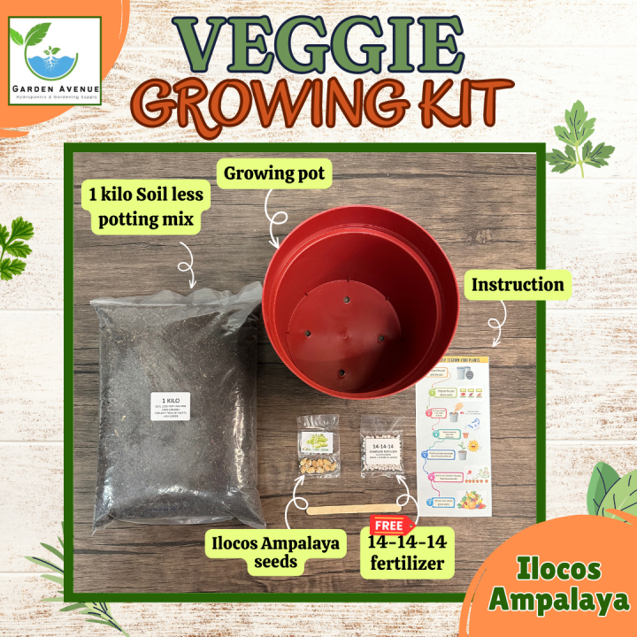ILOCOS AMPALAYA GROWING KIT - READY TO USE/COMPLETE PACKAGE/POT/SOIL ...