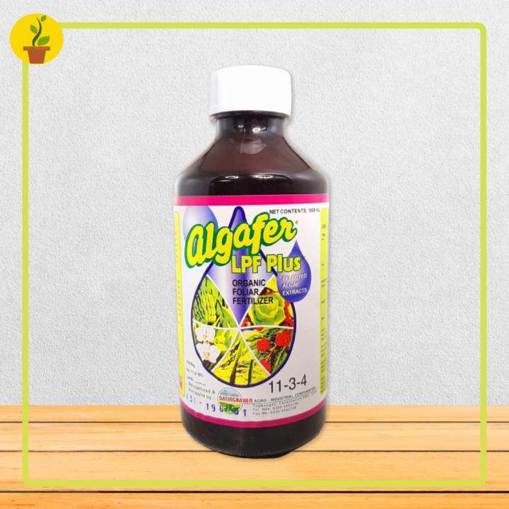 Algafer LPF (Seaweed Based Fertilizer Plus, Liquid Plant Food) [1,000 ...