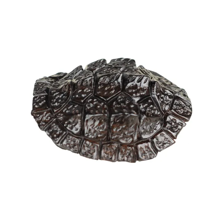Rich world hand-held piece wenwan piece turtle woodcarving turtle shell ...