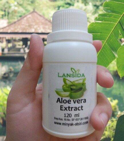 Aloe vera Extract 120 g - Ekstrak Lidah Buaya | Lazada Indonesia