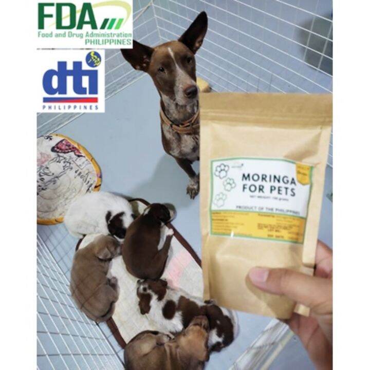 150 grams Malunggay Powder for Dogs / Pure Locally-Grown/Farm-grown ...