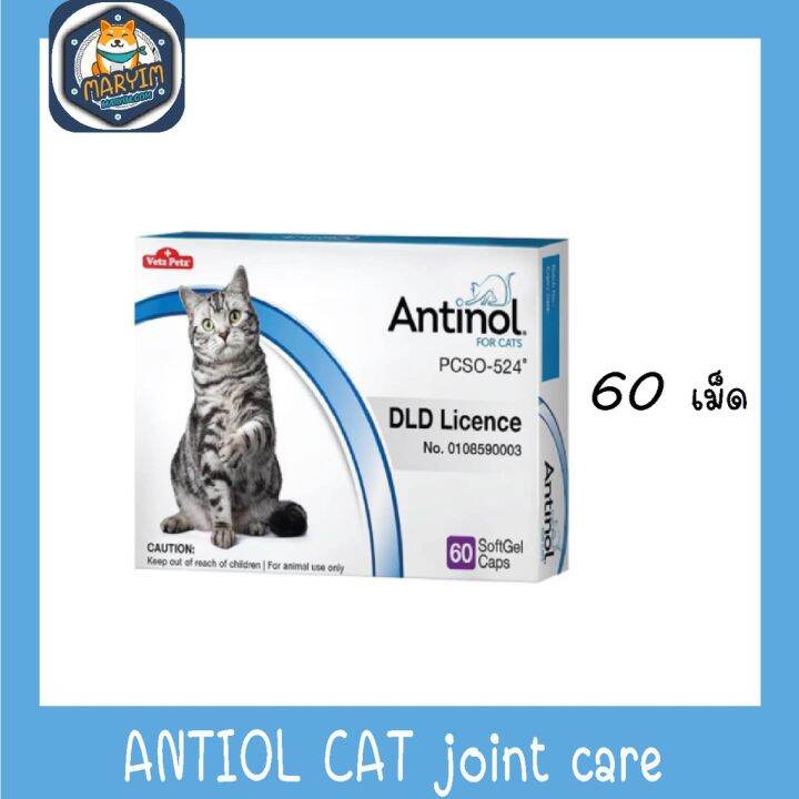 [โปรโมชั่นโหด] ส่งฟรี ANTIOL CAT joint care 60 caps | Lazada.co.th