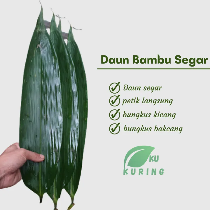 DAUN BAMBU SEGAR PER 10 LEMBAR / DAUN BAKCANG DAUN KICANG / DAUN BAMBU ...