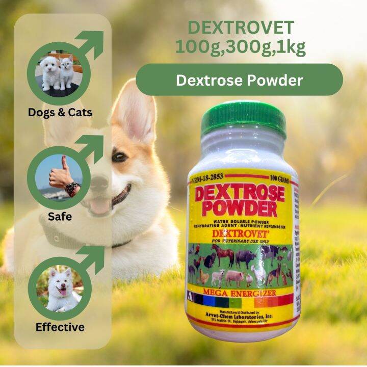 DEXTROVET Dextrose Powder 100g/300g/1000g | Lazada PH