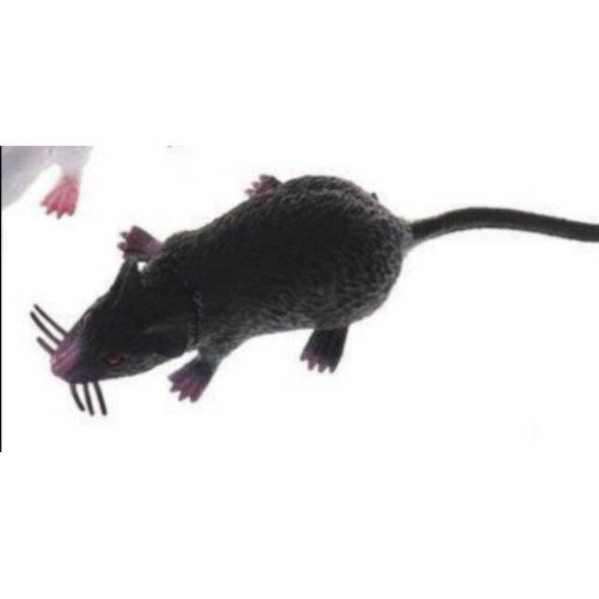 mouse / daga toy prank | Lazada PH