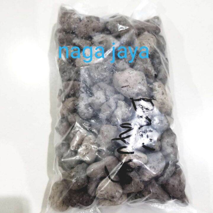 batu apung pumice pumis media filter aquarium aquascape dan kolam ikan ...