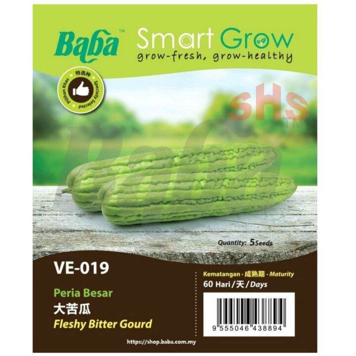 Baba Fleshy Bitter Gourd Seeds 50 seeds (not live plants) | Lazada PH