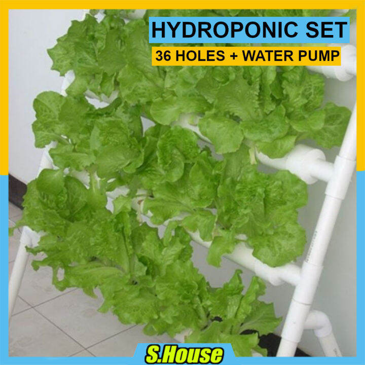 Set Hydroponic Auto 36 Holes C/w Water Pump Balcony Farm Planting Kit ...