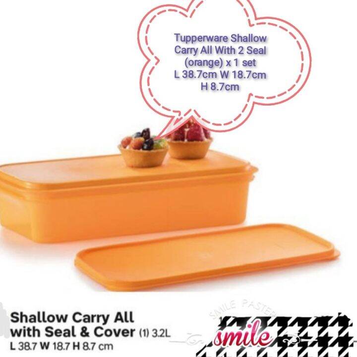 Tupperware Shallow Carry All With Seal & Cover 3.2L (1) | Lazada