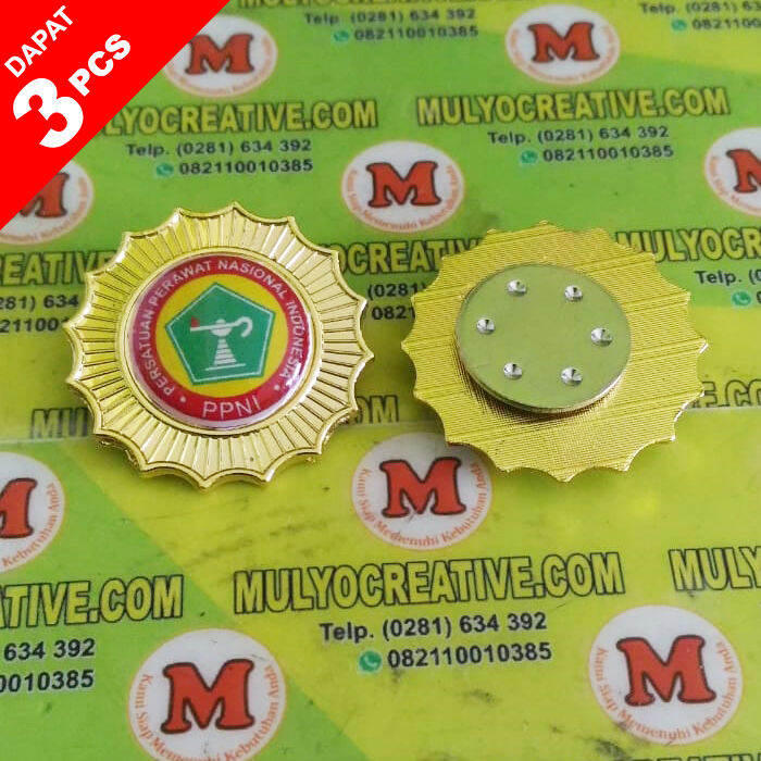 Pin Bros Atribut Logo Perawat Pin PPNI Model Magnet/3pcs | Lazada Indonesia