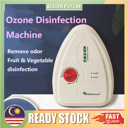 Household Ozone Disinfection Machine Multifunctional Oxygen Machine ...
