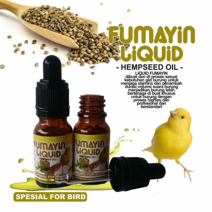 Fumayin LIQUID Oil Terbaik Untuk Breeding, Daily And Competition ...