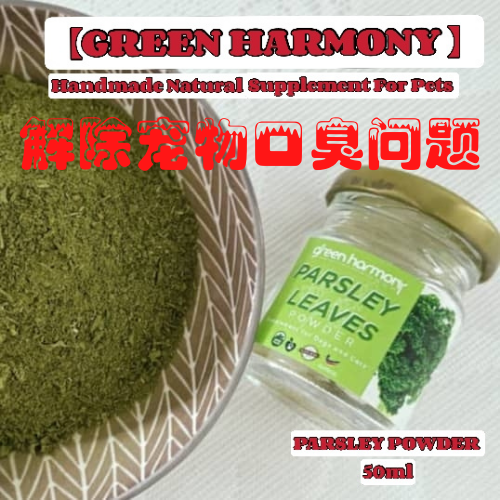 Homemade Air Dried Dehydrated Parsley Leaves Powder Parsley Leaves ...