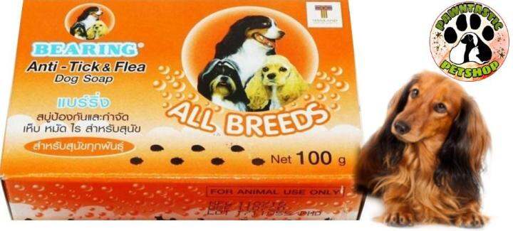 Bearing Anti Tick and Flea Soap 100g - All Breeds | Lazada PH