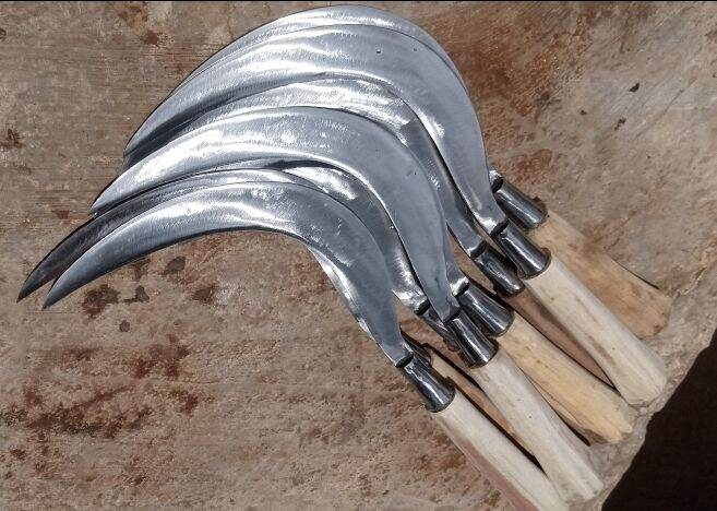 LOK NYANA - SABIT GAGANG PUTIH 39 CM / SABIT MADURA / ALAT BERLADANG ...