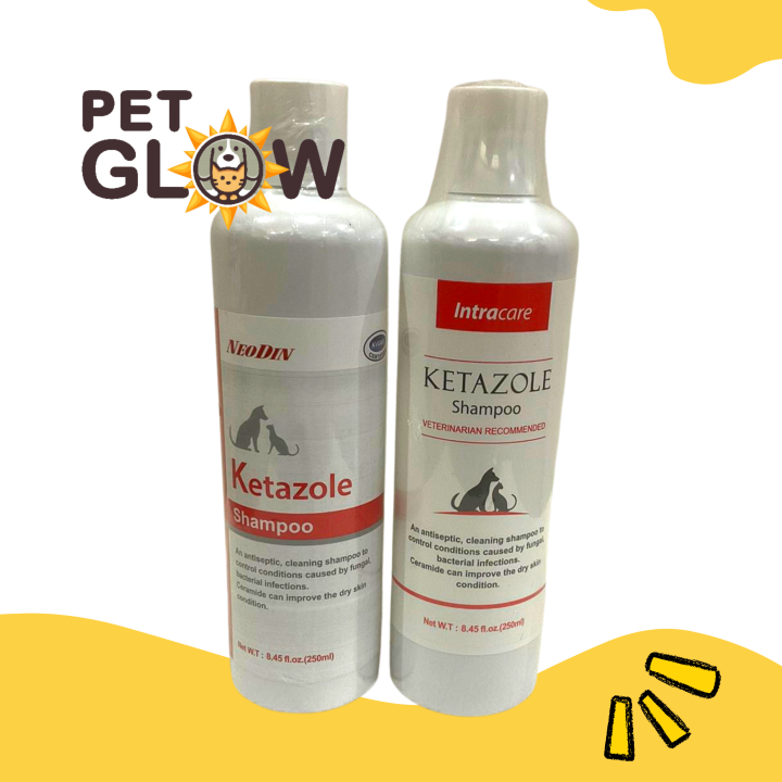 NeoDin Ketazole Shampoo For Dogs and Cats 250ml | Lazada PH