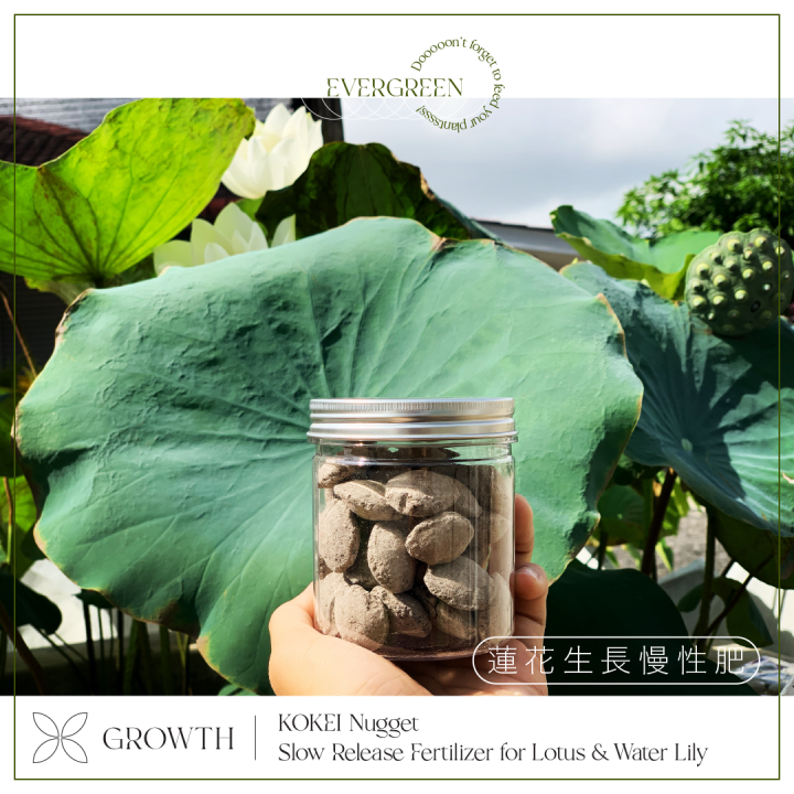 【Kokei Nugget Slow Release Fertilizer】莲花特效生长肥料 Baja Khas Bunga Teratai ...