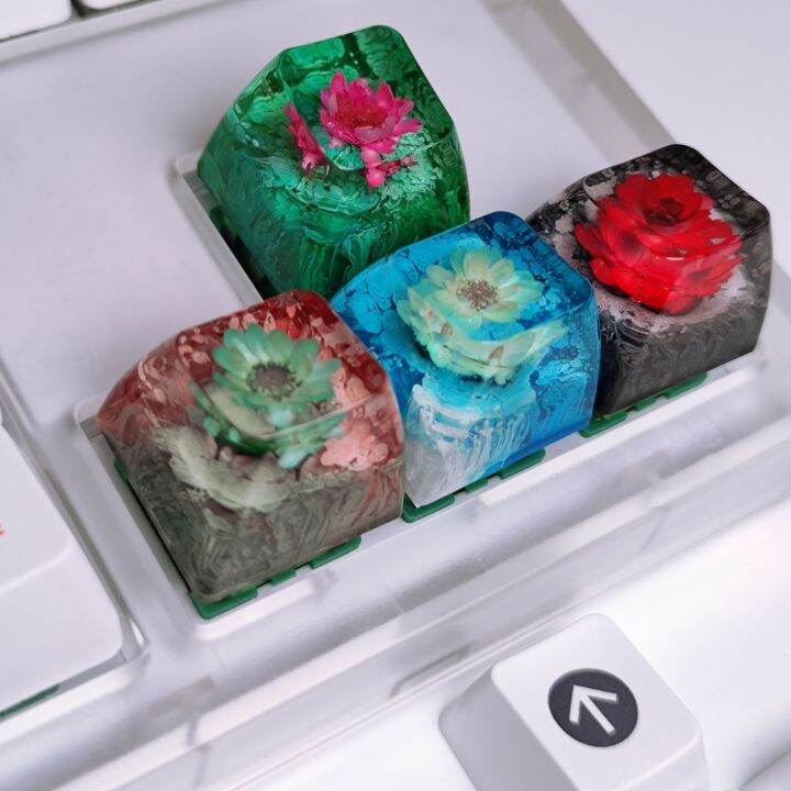 ↂ ┇ Keycaps Mechanical Keyboard Anne Pro 2 Mechanical Keyboard Resin ...