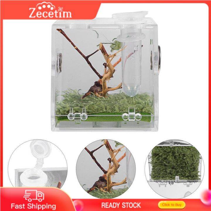 Zecetim Suite Jumping Spider Breeding Box Spider Terrarium Acrylic ...
