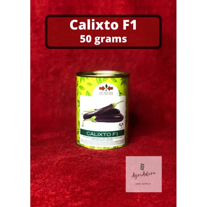 Calixto F1 Hybrid Eggplant Seeds 50 grams (East-west Seed) | Lazada PH